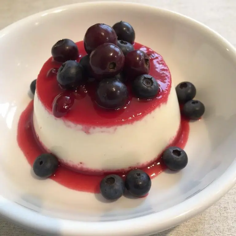Greek Yogurt Panna Cotta with Berries